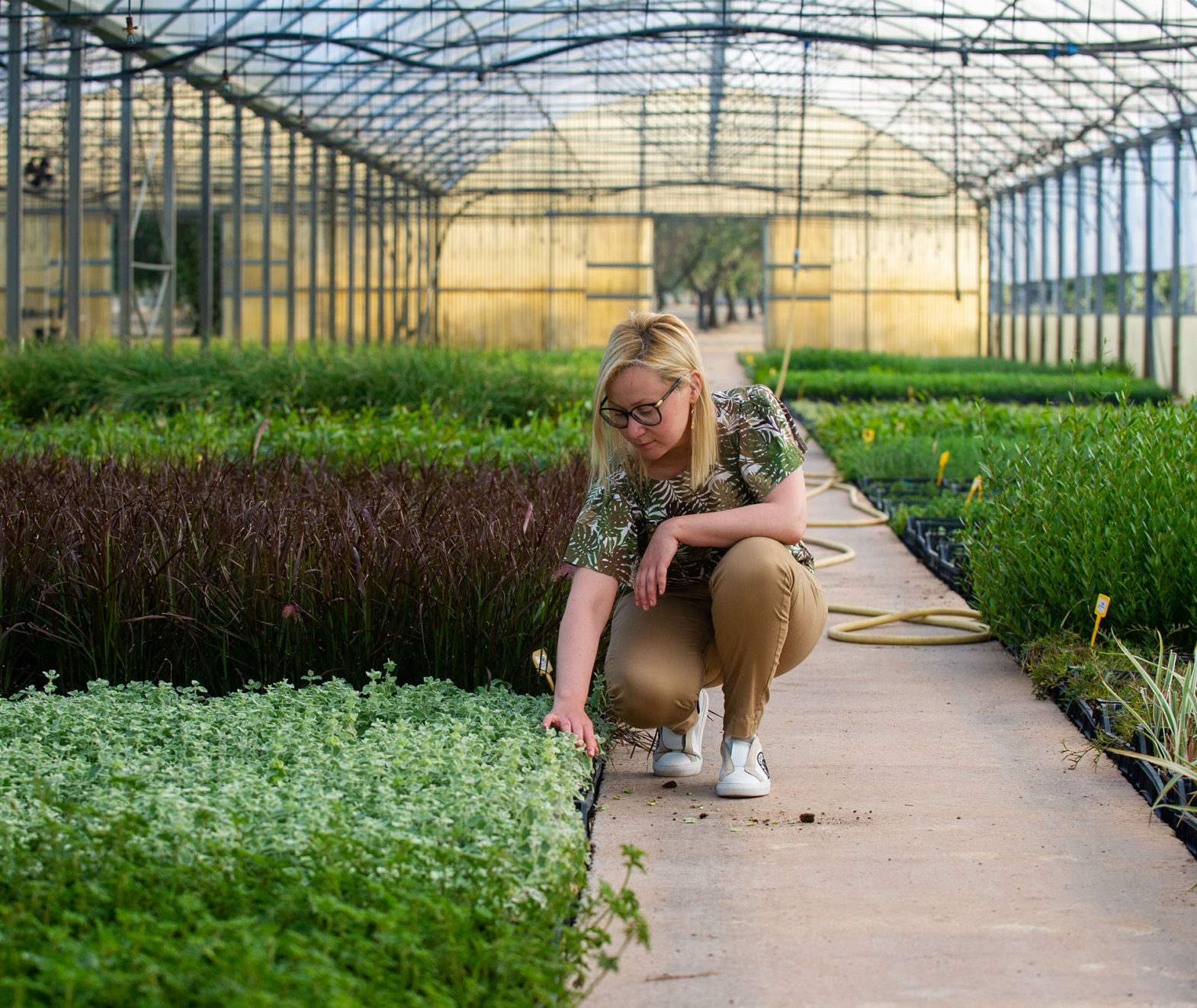 About Us | GREEN EXPORT